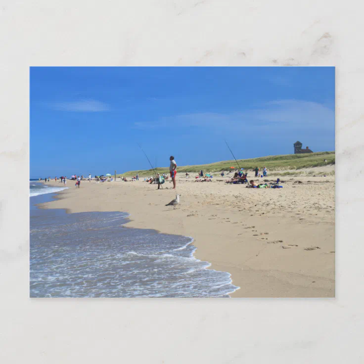 Race Point Beach Cape Cod National Seashore Postcard | Zazzle