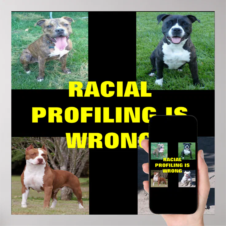 Racial Profiling Poster | Zazzle