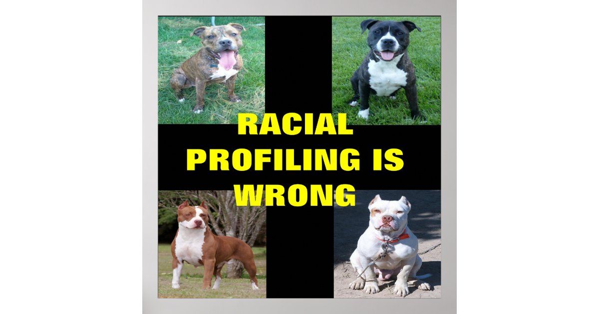 Racial Profiling Poster | Zazzle