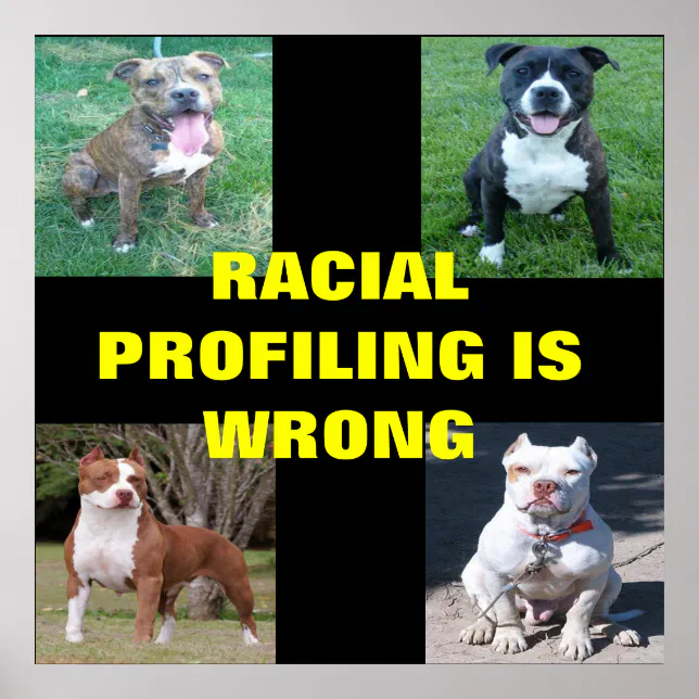 Racial Profiling Poster | Zazzle