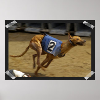 Greyhound Racing Posters, Greyhound Racing Prints, Art Prints, & Poster ...