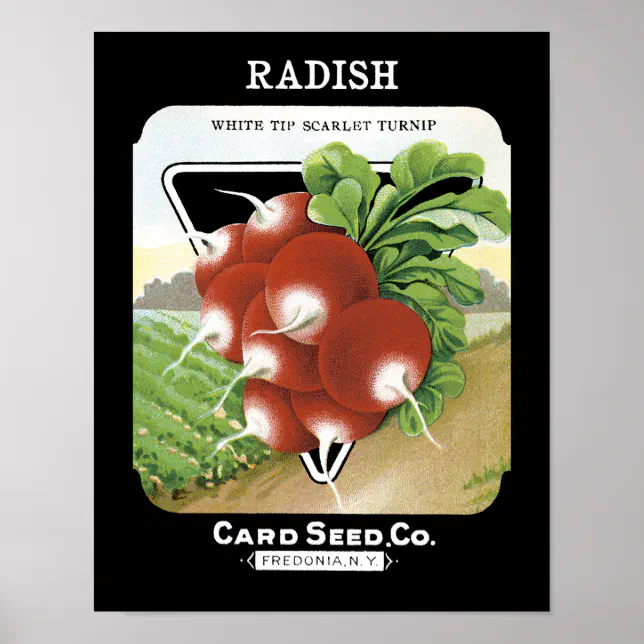 Radish Seed Packet Label Poster | Zazzle