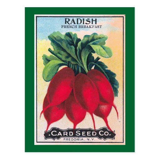 Radish Seed Packets