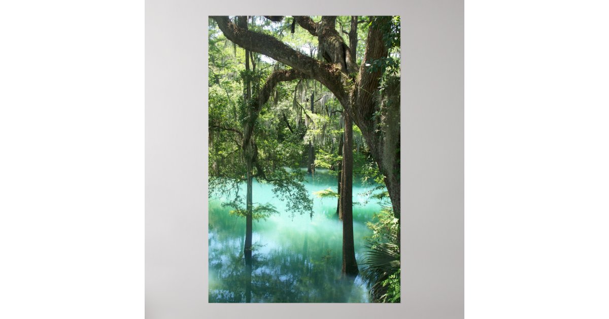 Radium Springs Beauty Poster | Zazzle