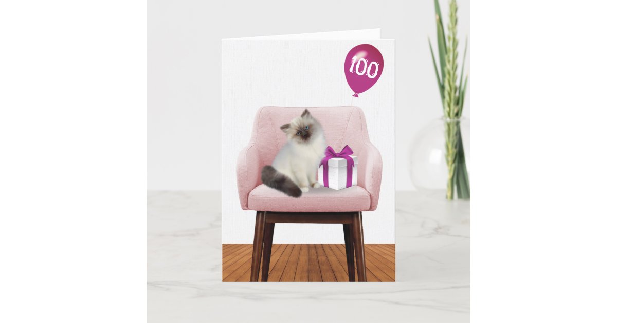 Ragdoll Cat With 100th Birthday Balloon Card | Zazzle