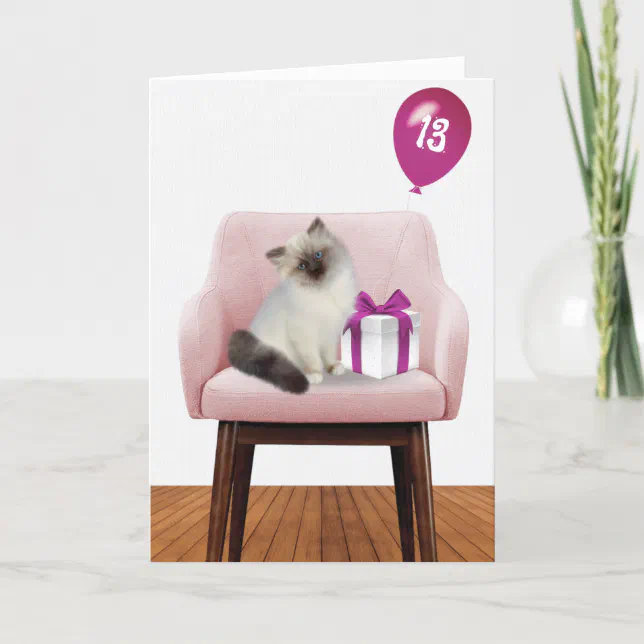 Ragdoll Cat With 13th Birthday Balloon Card | Zazzle