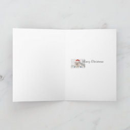 Ragdoll christmas card | Zazzle