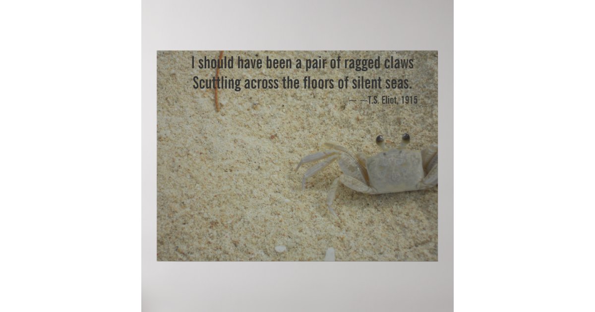 Ragged Crab Claws Poem Poster | Zazzle
