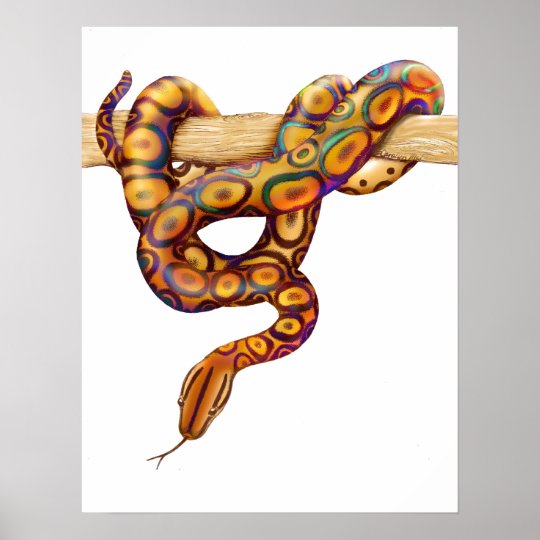 Rainbow Boa Snake Print | Zazzle.com