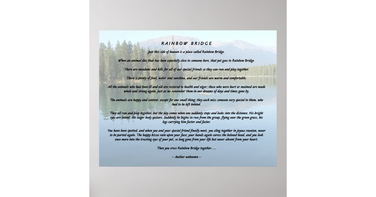 Rainbow Bridge 2 Poster | Zazzle