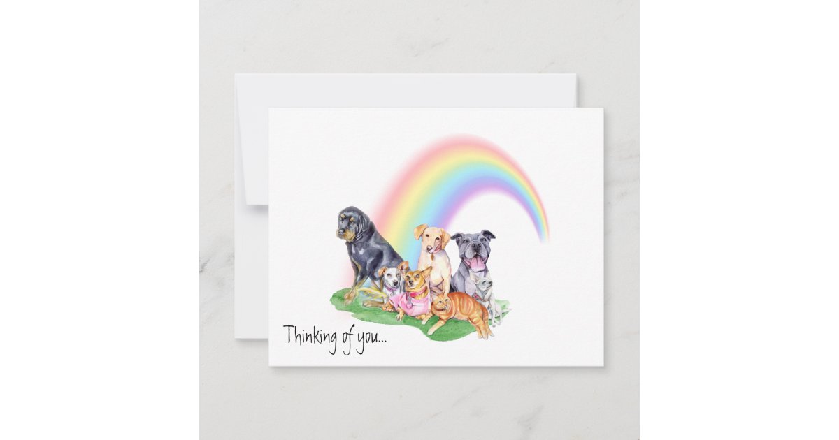 Rainbow Bridge Card - Pet Loss - Condolences Card | Zazzle