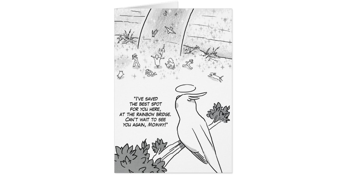 Rainbow bridge cockatiel parrot | Zazzle
