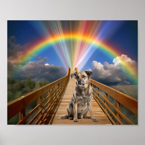 Rainbow Bridge Pet Memorial Loss Customize Poster | Zazzle
