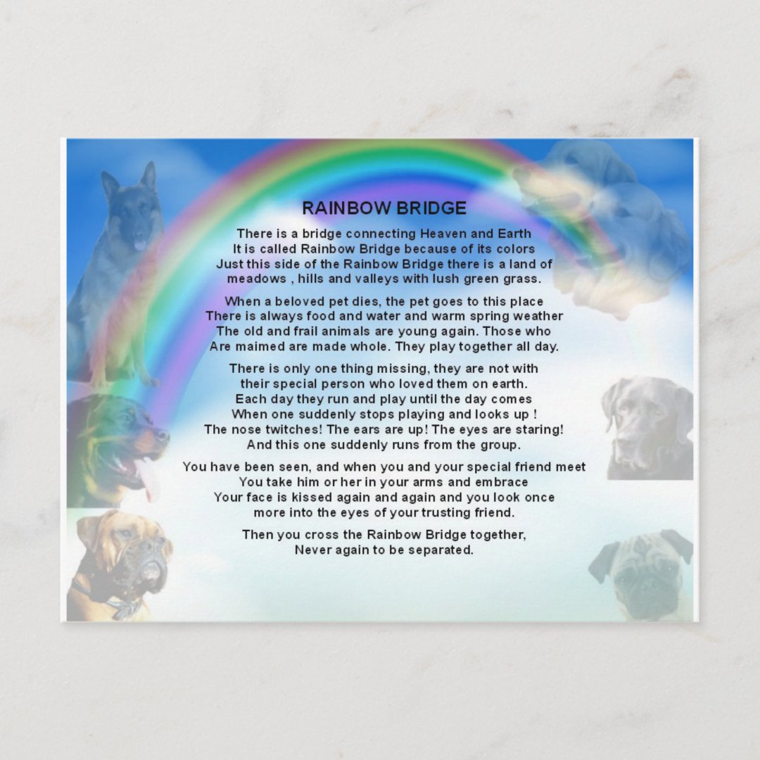Rainbow Bridge Poem Postcard | Zazzle