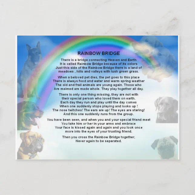 Rainbow Bridge Poem Postcard | Zazzle