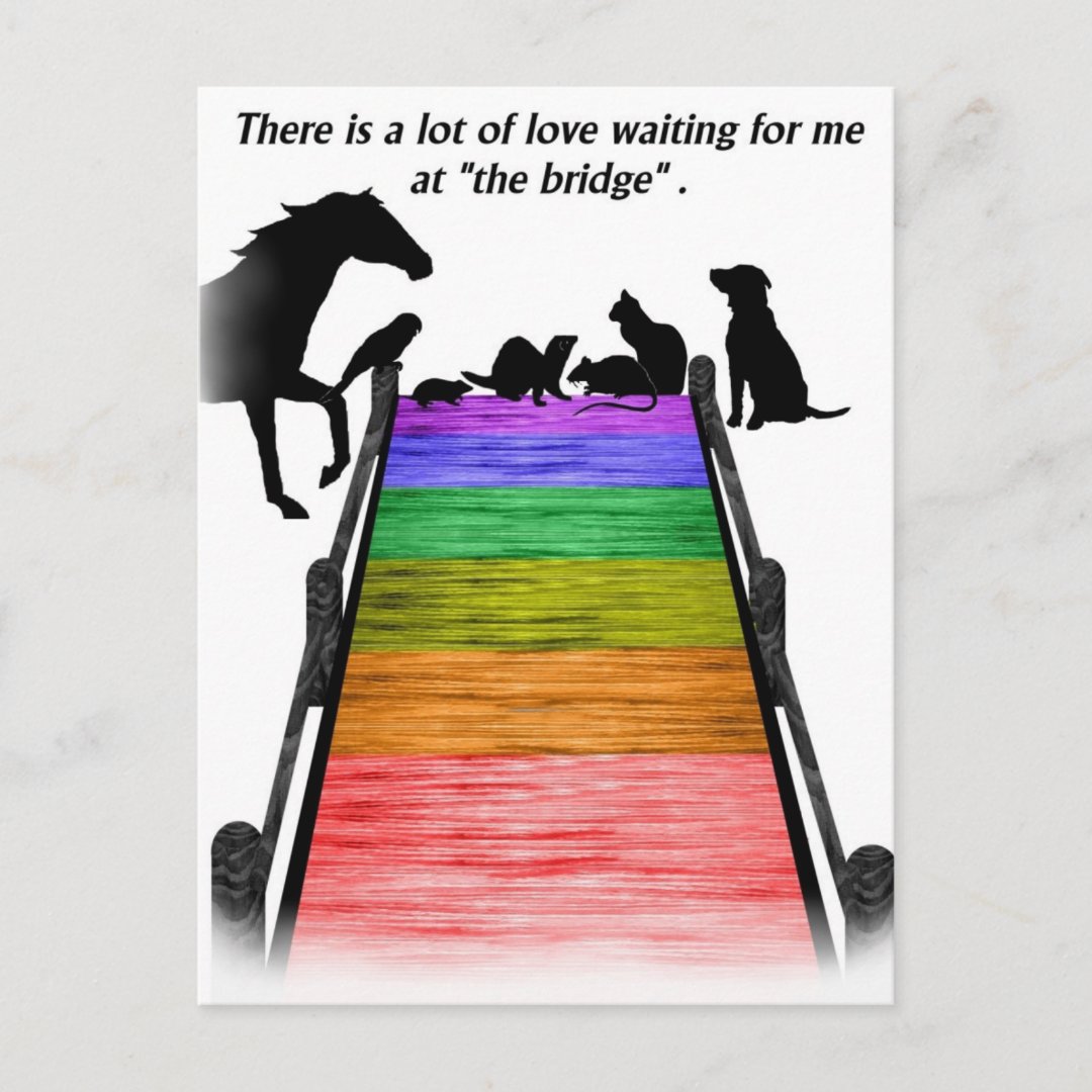 Rainbow Bridge Postcard | Zazzle