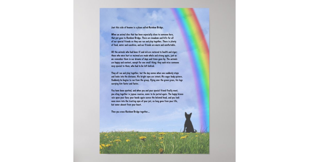 Rainbow Bridge Poster | Zazzle