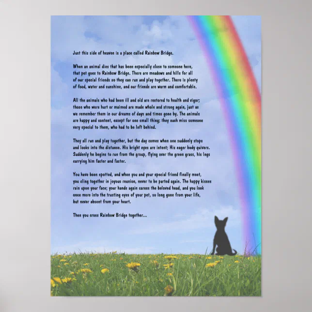 Rainbow Bridge Poster | Zazzle