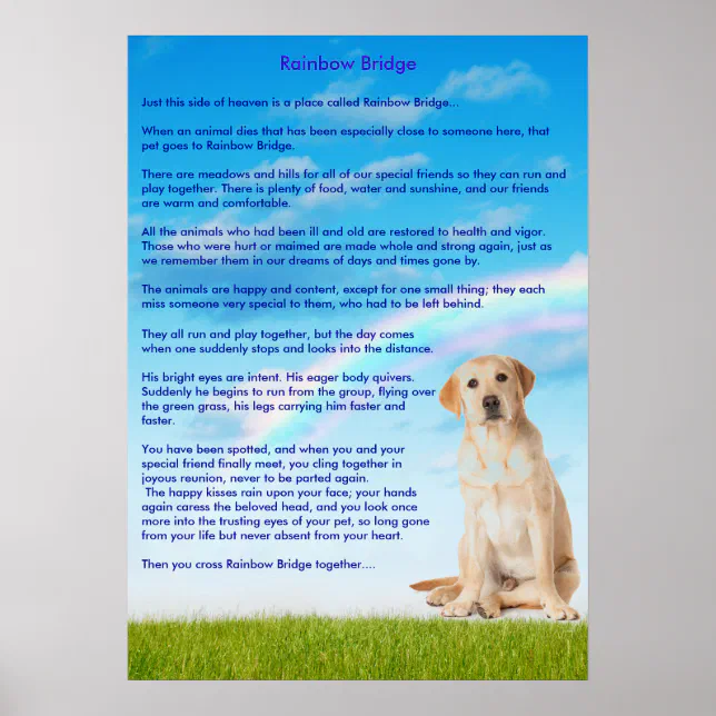 Rainbow Bridge Poster | Zazzle