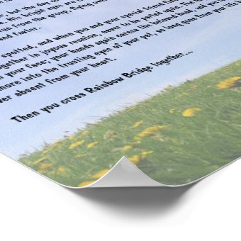 Rainbow Bridge Poster | Zazzle
