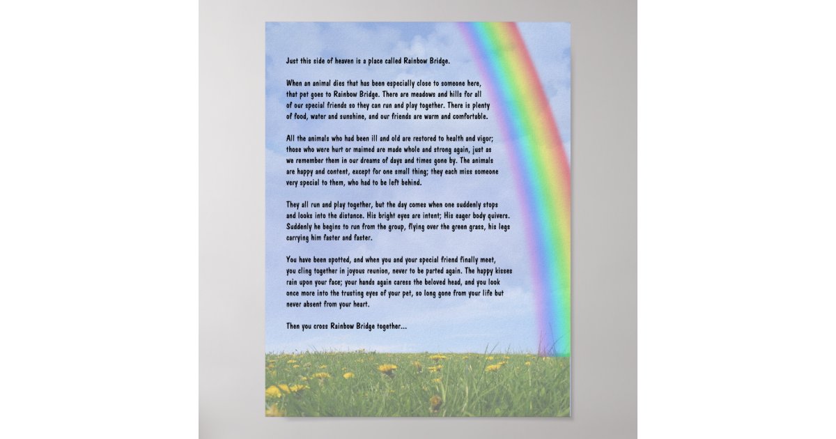 Rainbow Bridge Poster | Zazzle