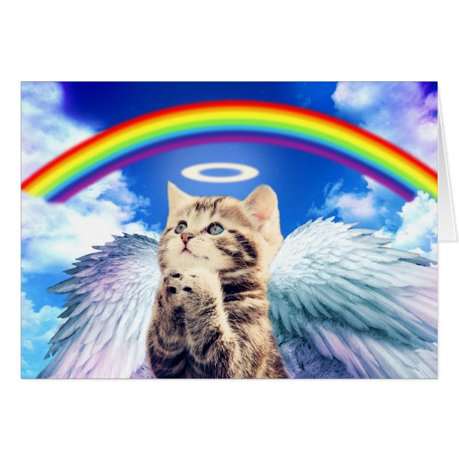 Cute Praying Kittens