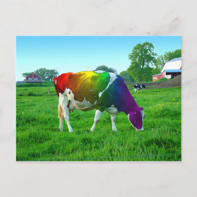 Rainbow Cow Postcard | Zazzle