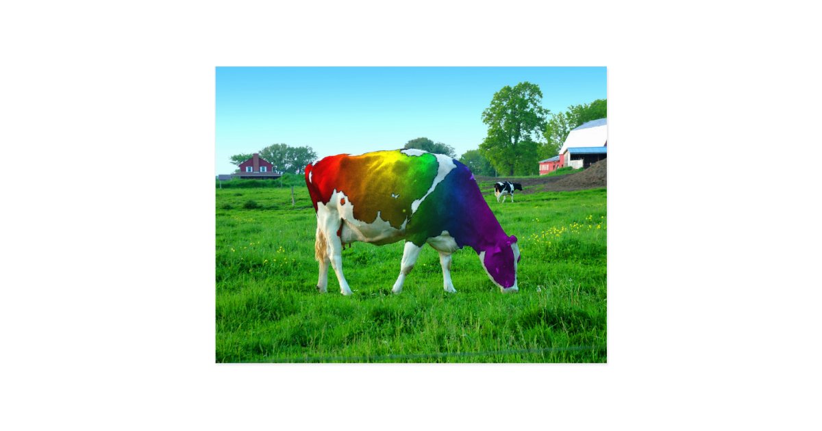 Rainbow Cow Postcard | Zazzle.com