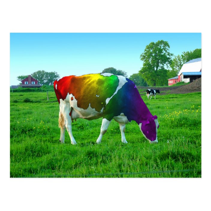 Rainbow Cow Postcard | Zazzle.com