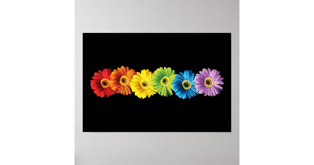 Rainbow Daisies Poster | Zazzle