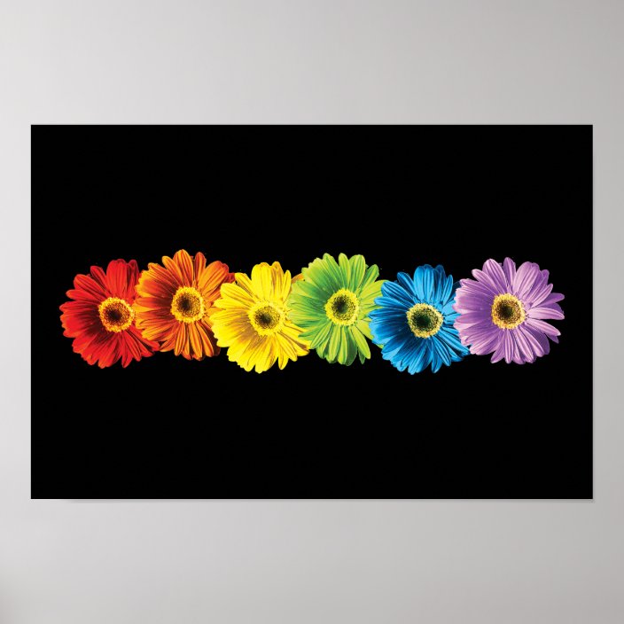 Rainbow Daisies Poster | Zazzle.com