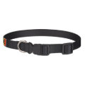 Rainbow Diabetic Dog Medical alert Pet Collar | Zazzle