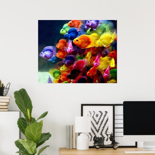 Rainbow Fish Poster | Zazzle