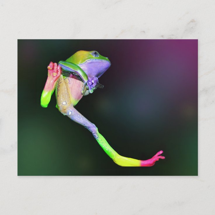Rainbow Frog Postcard | Zazzle