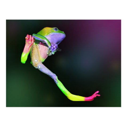Rainbow Frog Postcard | Zazzle.com