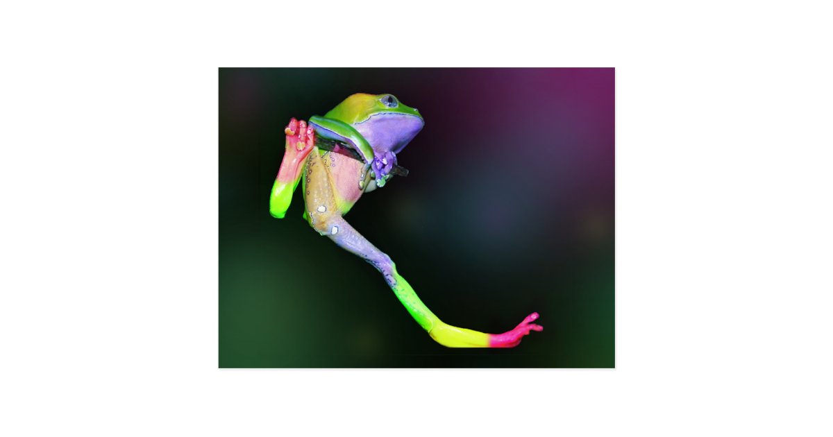 Rainbow Frog Postcard | Zazzle.com