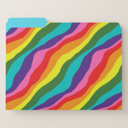 Rainbow Patterns File Folder | Zazzle