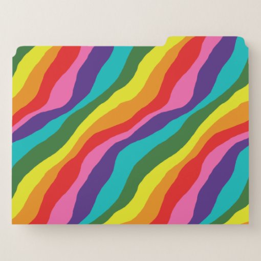 Rainbow Patterns File Folder | Zazzle