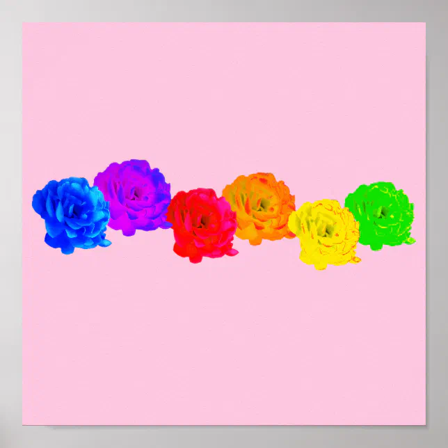 Rainbow Roses Poster | Zazzle
