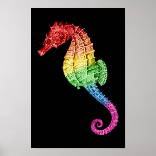 Rainbow Seahorse Poster | Zazzle.com