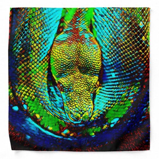Rainbow Snake Bandana | Zazzle.com