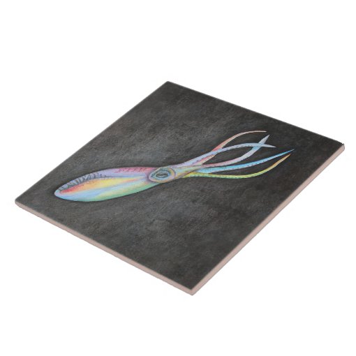 Rainbow Squid Ceramic Tile | Zazzle
