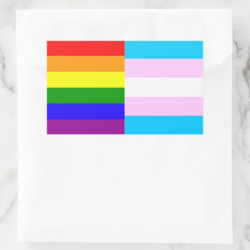 Rainbow/trans pride flags sticker | Zazzle