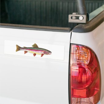 Rainbow Trout Fish Bumper Sticker | Zazzle