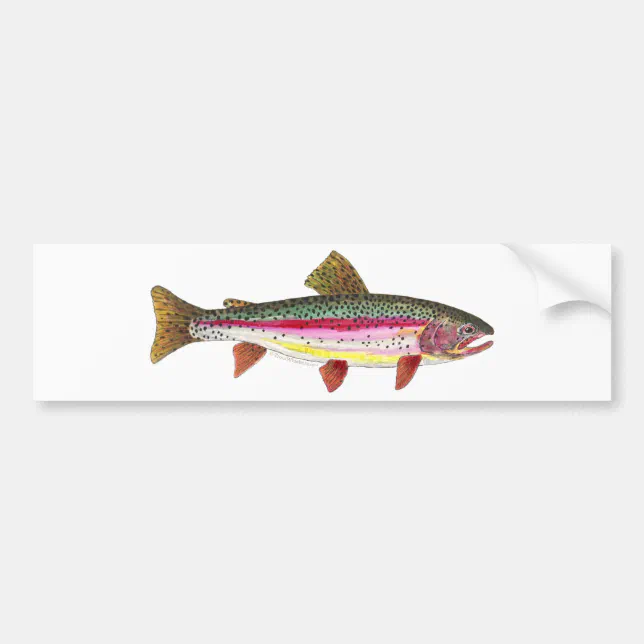 Rainbow Trout Fish Bumper Sticker | Zazzle