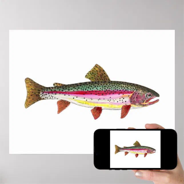 Rainbow Trout Fish Poster | Zazzle