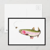Rainbow Trout Fly Fishing Postcard | Zazzle