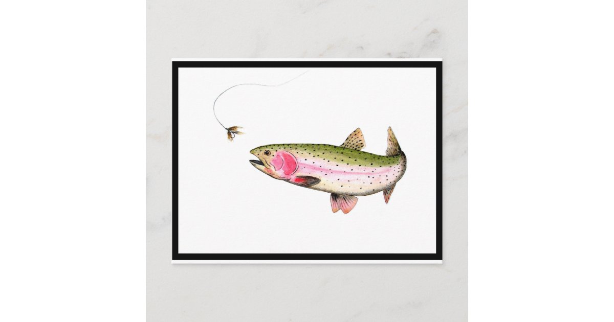 Rainbow Trout Fly Fishing Postcard | Zazzle