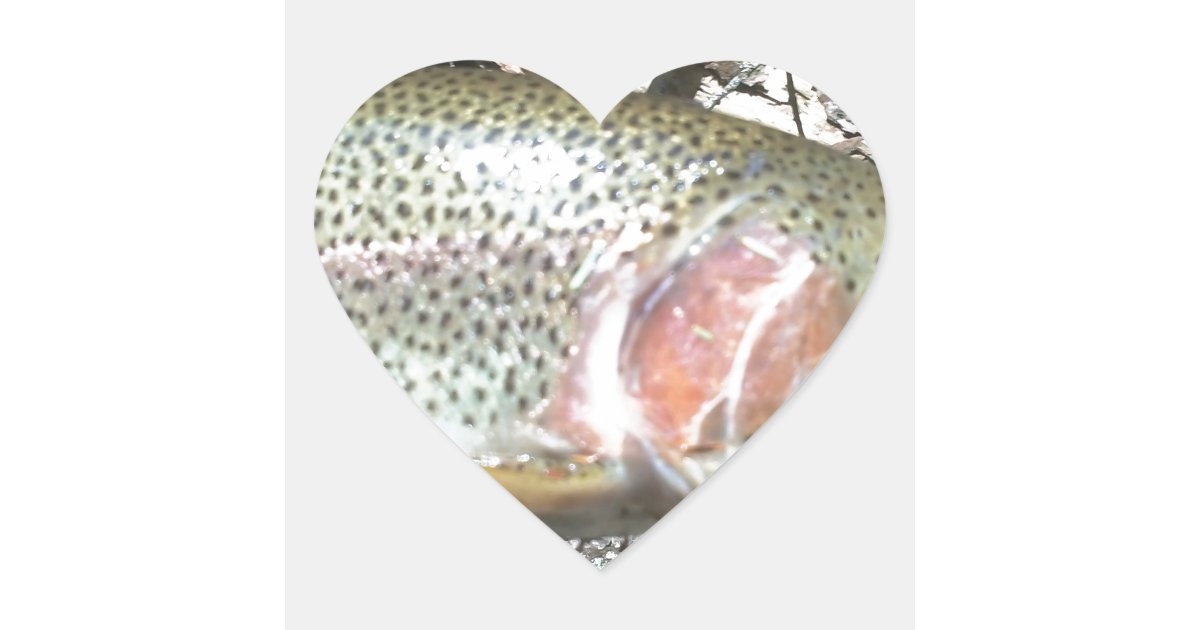 Rainbow trout heart sticker | Zazzle