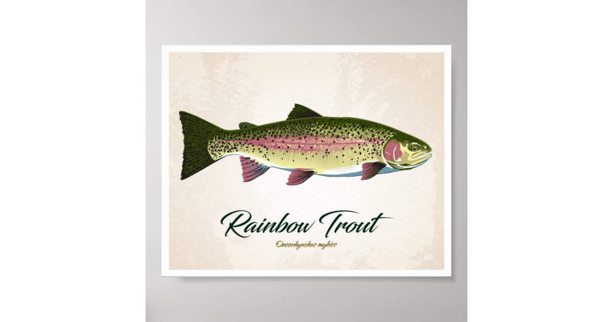 Rainbow Trout Poster | Zazzle